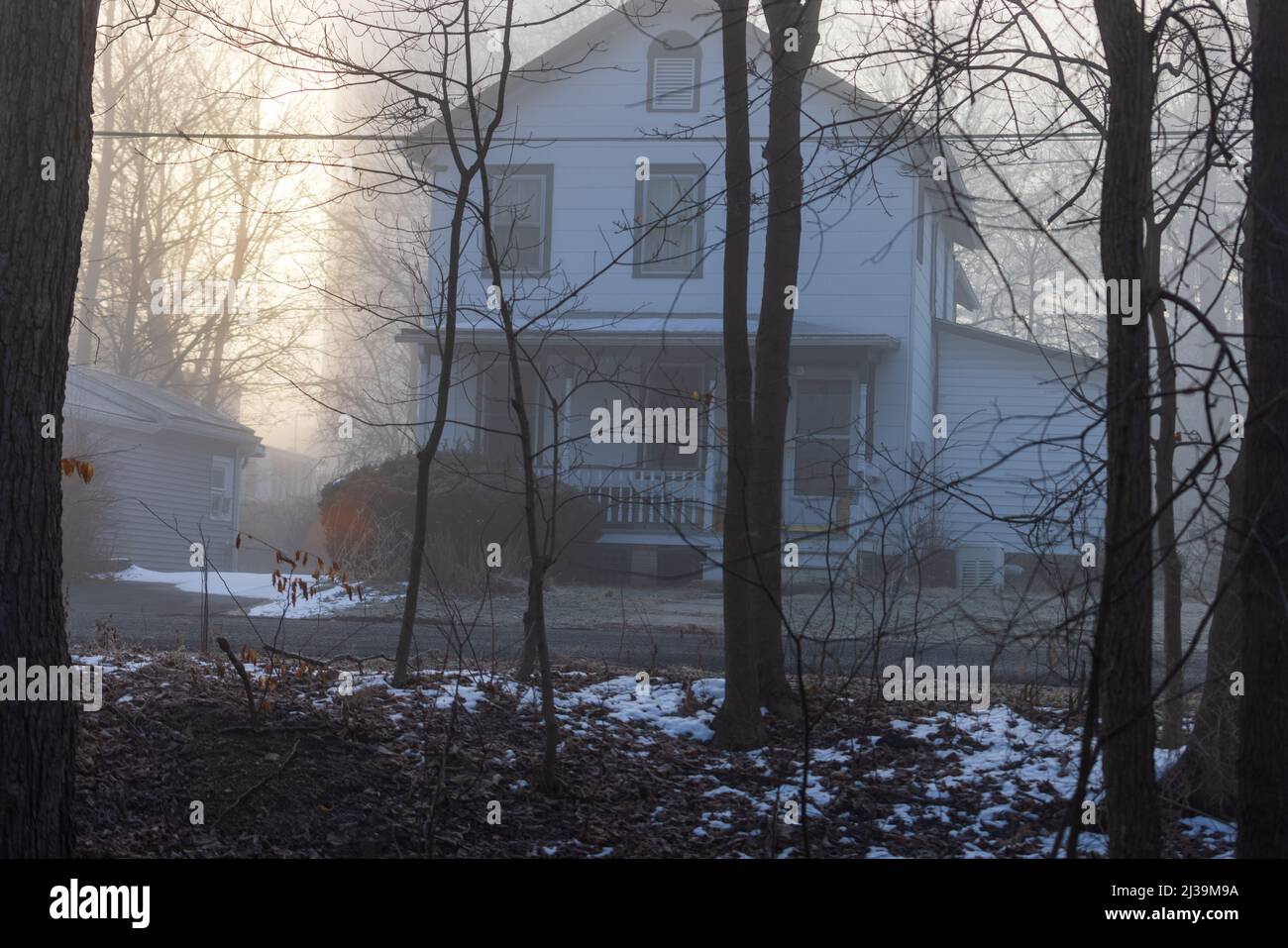 Early morning mist around large suburban home with trees in yard Stock ...