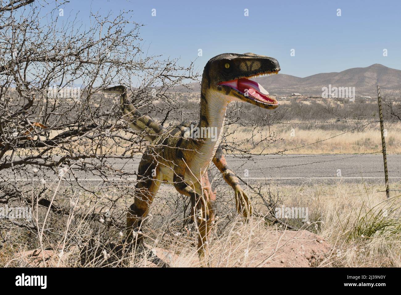 Rattle Snake Ranch Benson AZ Stock Photo - Alamy