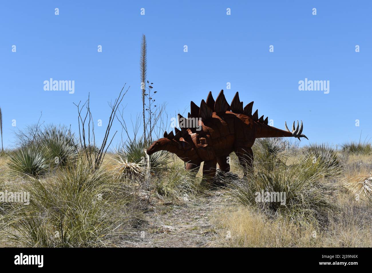 Rattle Snake Ranch Benson AZ Stock Photo - Alamy