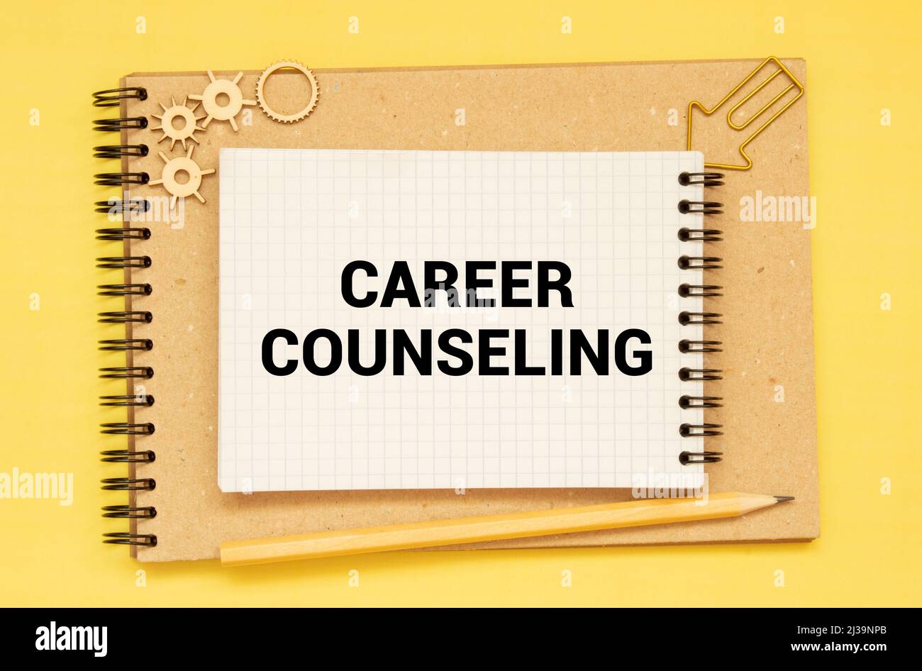CAREER COUNSELING. text, word, on white paper on gray background Stock ...