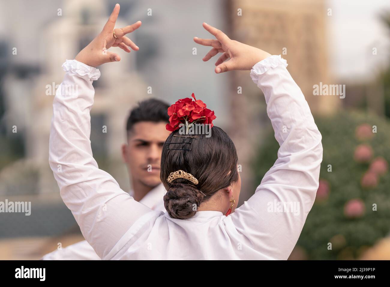 flamenco dancer with her back to the stage dancing with raised arms ...