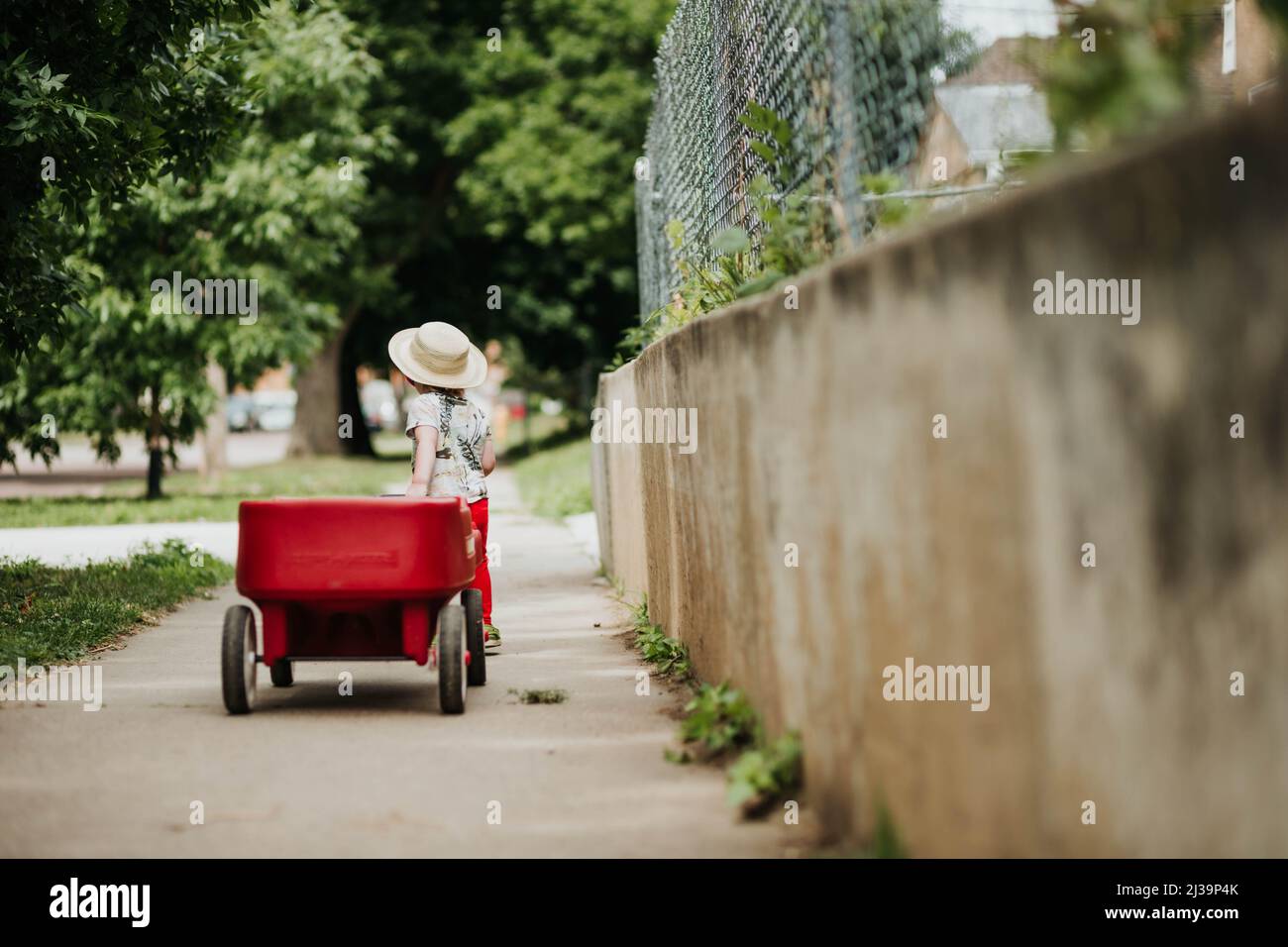Toddler girl pulls red wagon outside mid day during summer Stock Photo ...