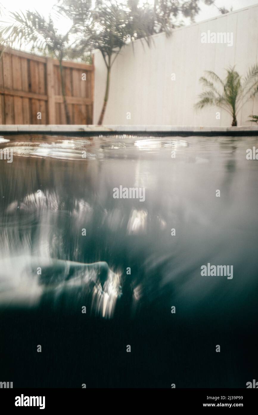 hazy summer day at dark pool with trees Stock Photo - Alamy