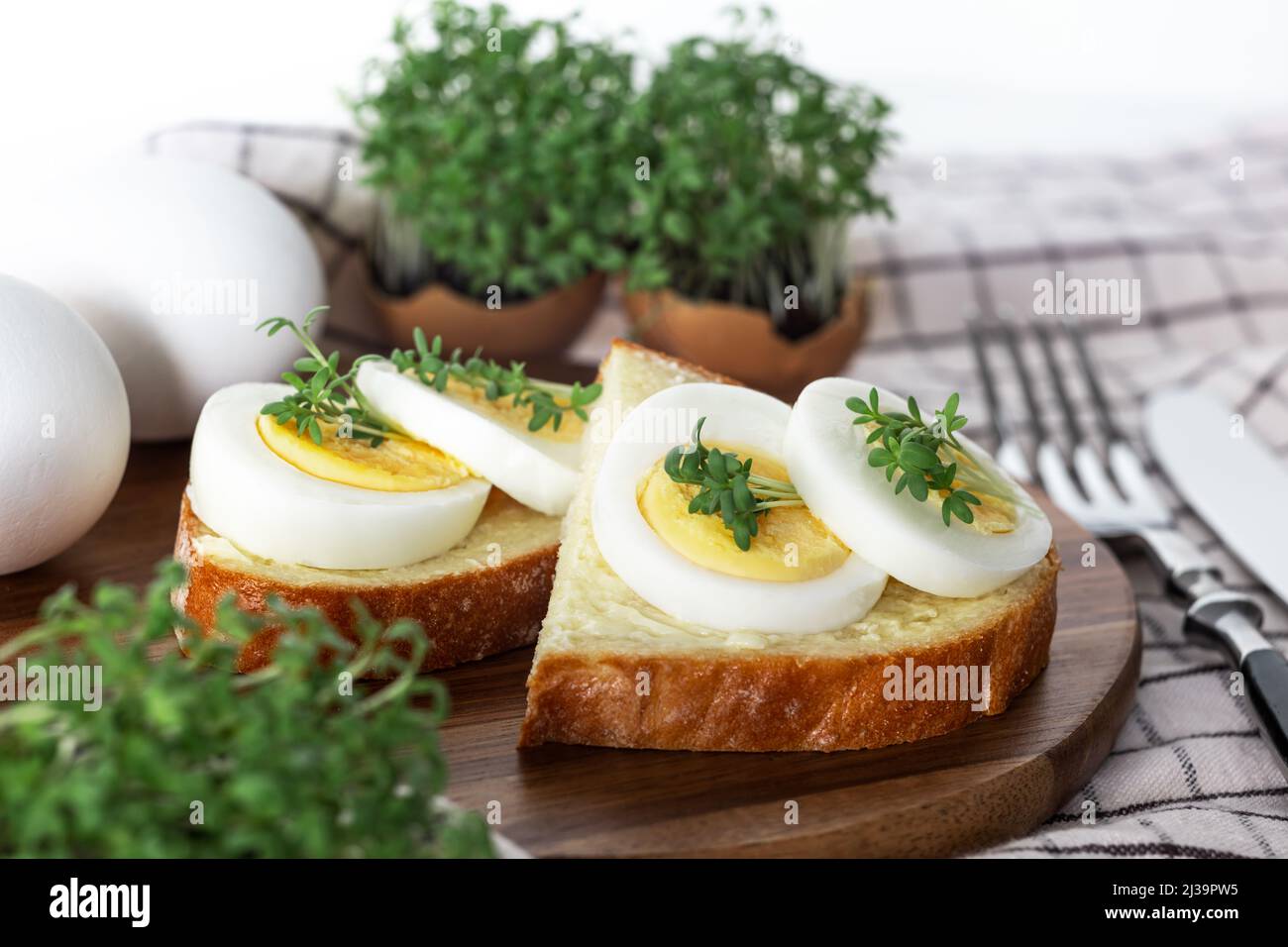 Breakfast sandwich with hard boiled eggs and micro green Stock Photo ...