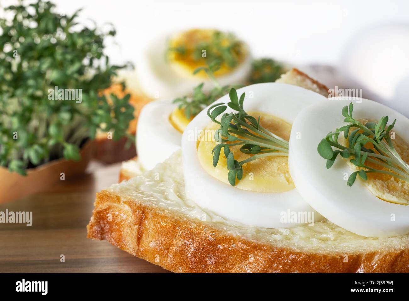 Breakfast sandwich with hard boiled eggs and micro green Stock Photo ...