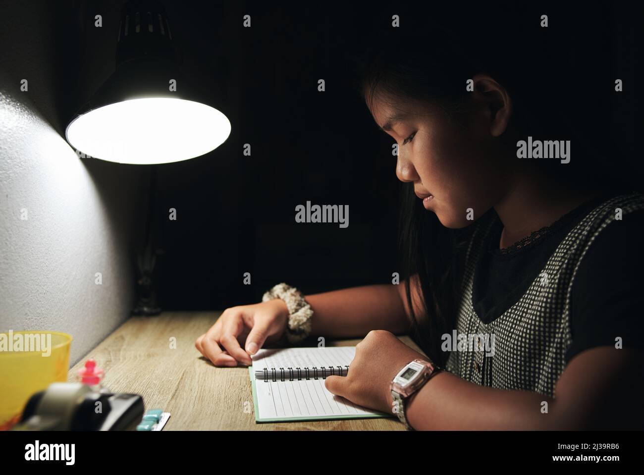 Girl reading diary hi-res stock photography and images - Alamy