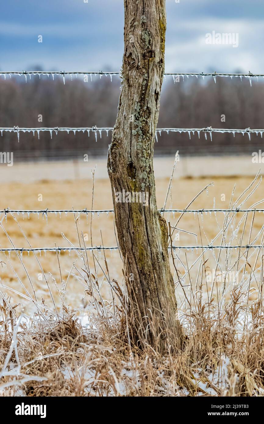 Barbed wire fence with icicles after a freezing rain in Michigan, USA ...