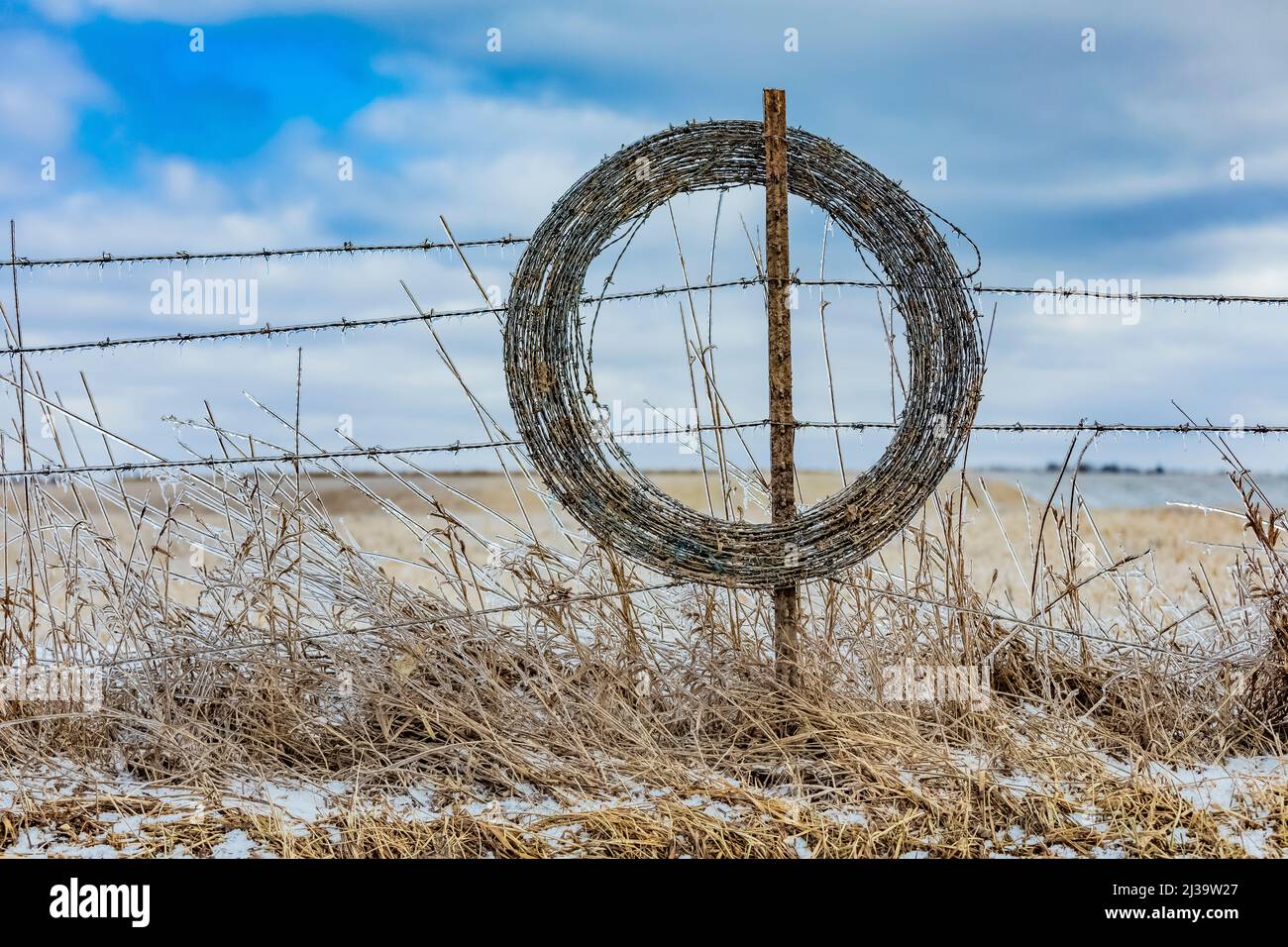 Barbed wire fence with icicles after a freezing rain in Michigan, USA ...