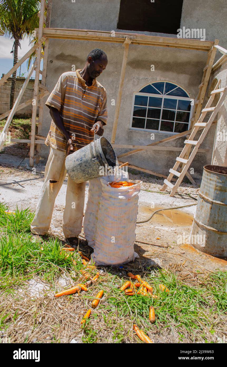 Man pouring bucket water hi-res stock photography and images - Alamy