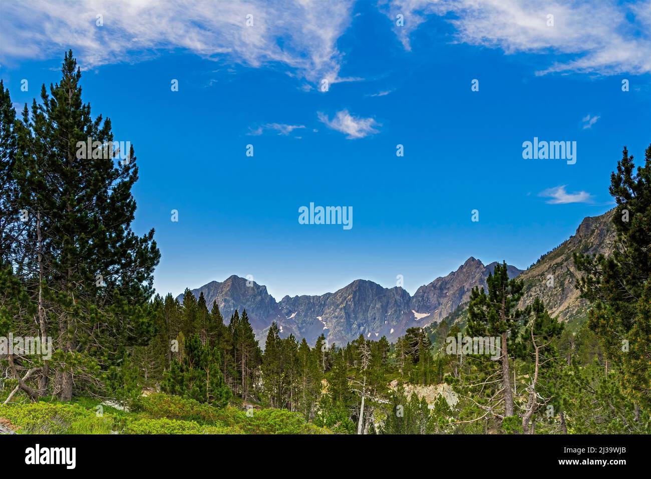 Blue Sky and Sunny Day Over French Pyrenees Mountains With Firs Stock ...