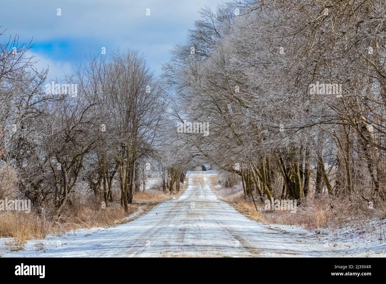 Country road after an freezing rain in Michigan, USA Stock Photo - Alamy