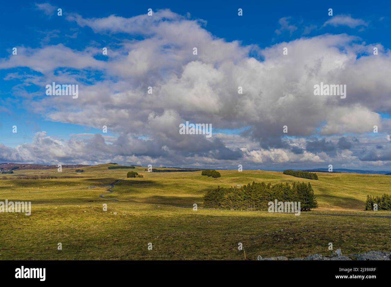 Grass Meadows of Aubrac Lowlands in French Mountains With Clouds and ...