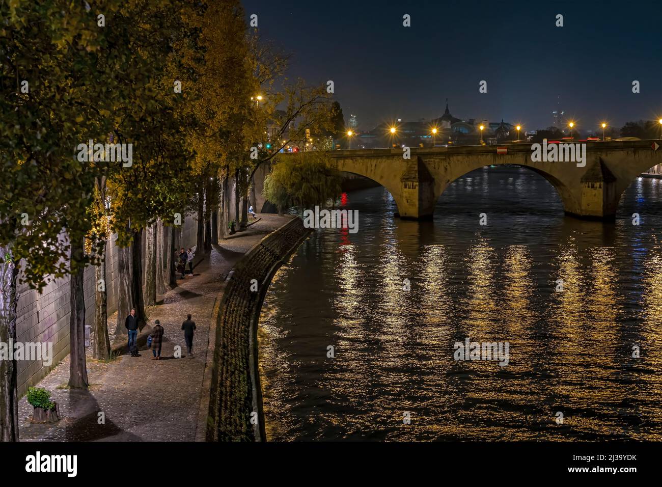 The Seine Docks at Night in Paris Peoples Walking Bridge Lights and ...