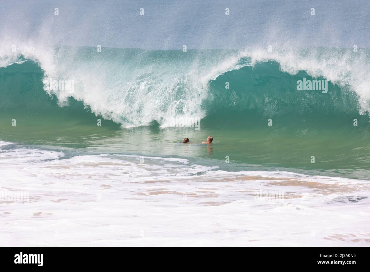 Swimming couple about to be swallowed by a large swell at Waimea Bay ...