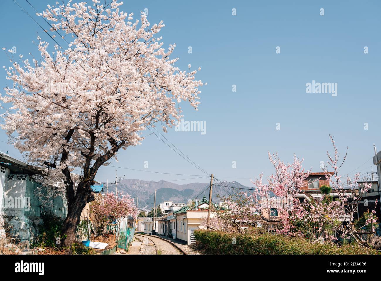 Railway and Jinhae old town street at spring in Changwon, Korea Stock ...