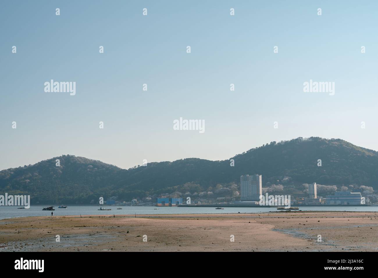 Changwon park hi-res stock photography and images - Alamy