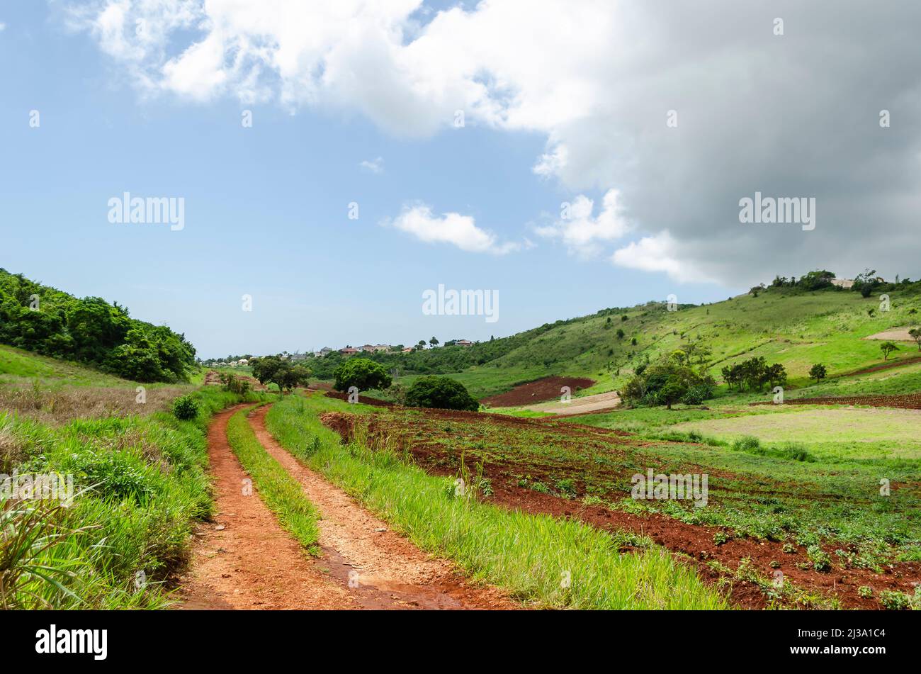 Red terra rossa clay soil hi-res stock photography and images - Alamy