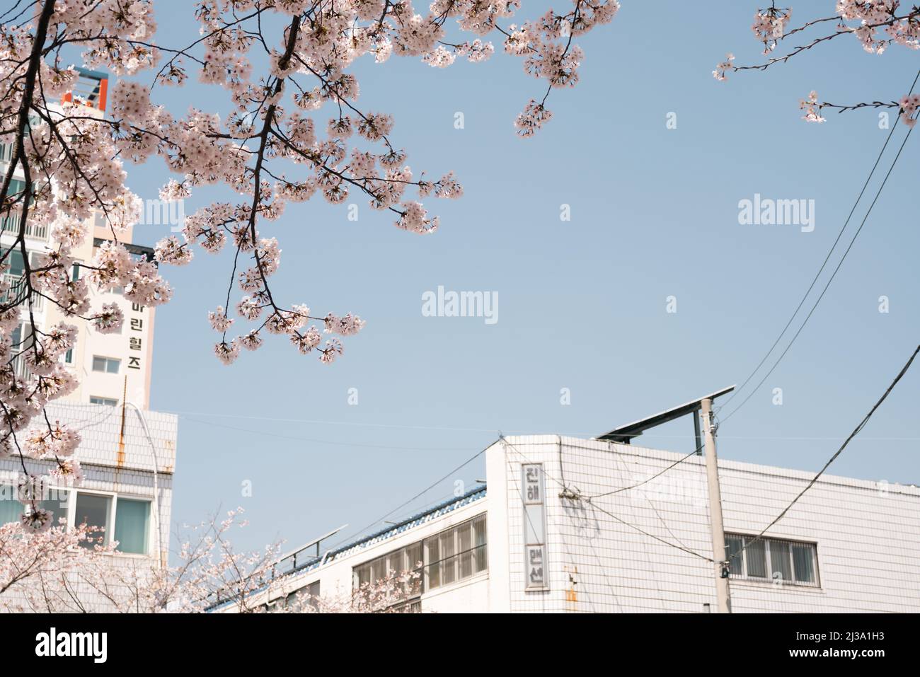 Changwon city hi-res stock photography and images - Alamy