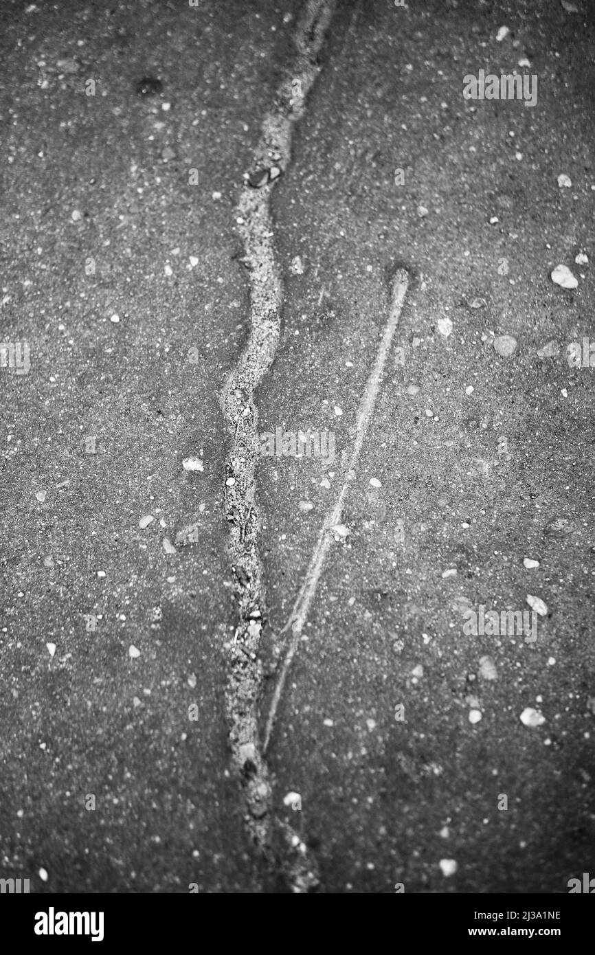 A vertical grayscale shot of a big crackle on asphalt Stock Photo - Alamy