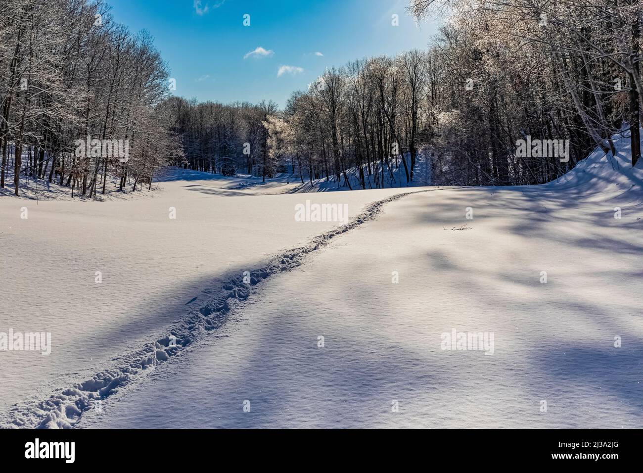 Footprints on a golf course after a freezing rain followed by snow in ...