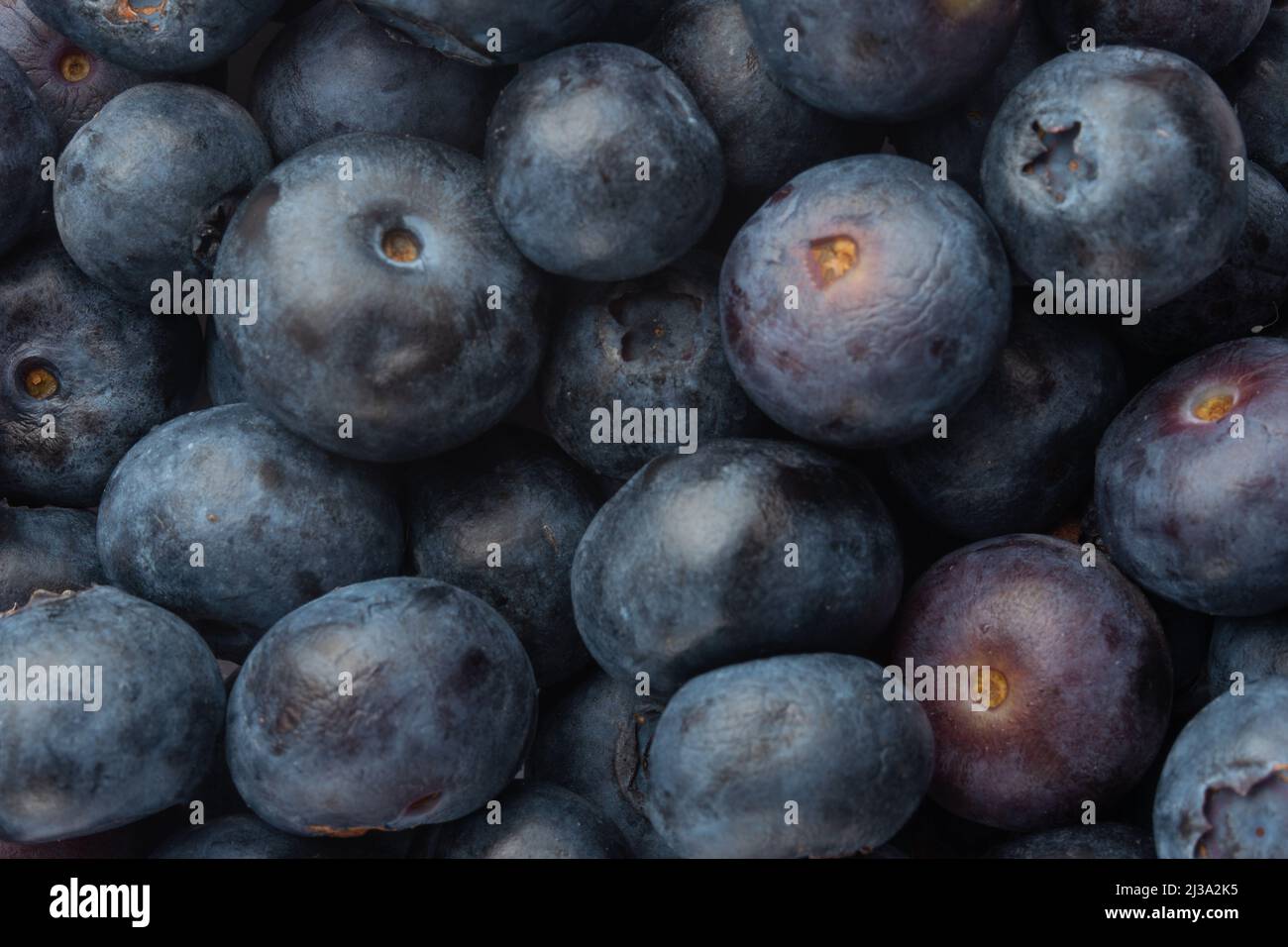 blueberry, texture closeup, background, berries Stock Photo - Alamy