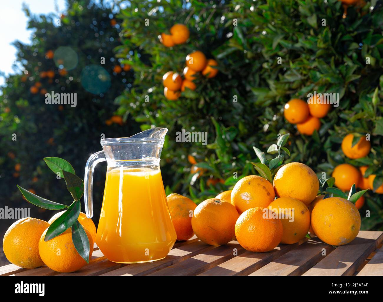 Drinking orange juice tree hi-res stock photography and images - Alamy