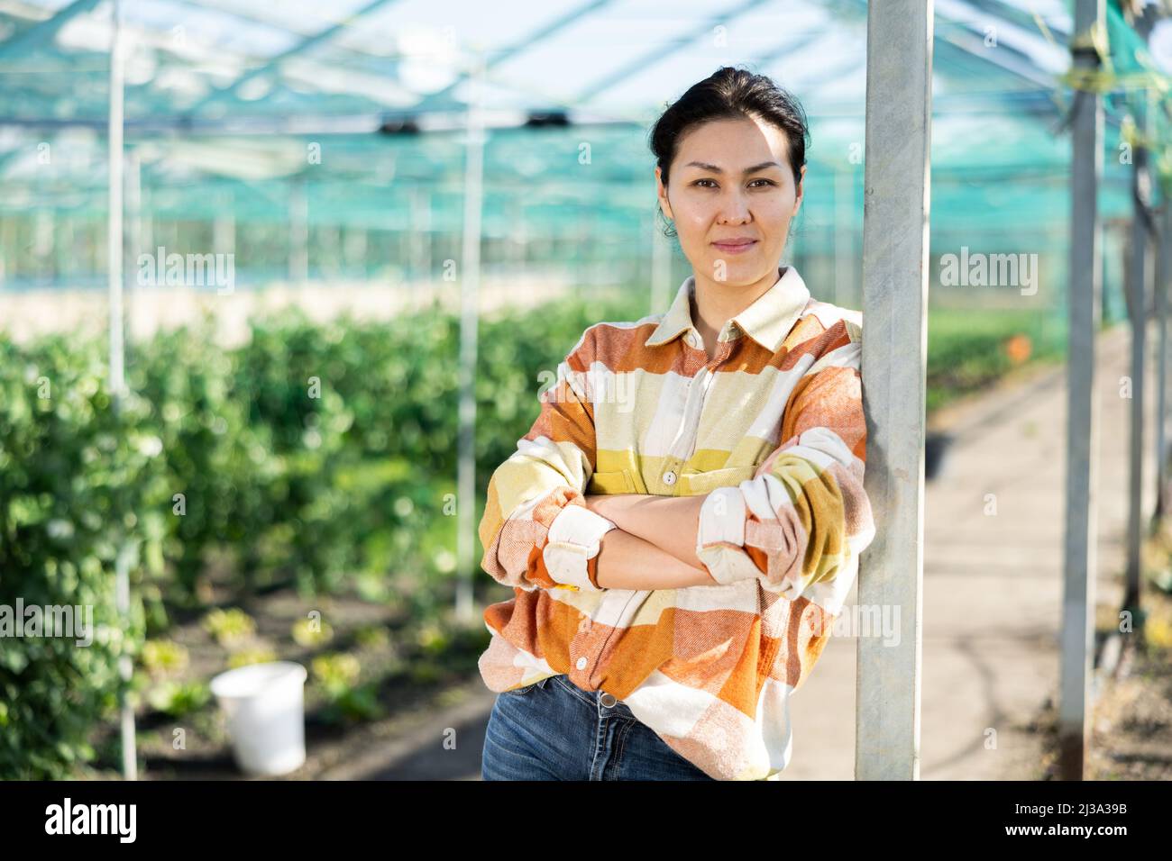Portrait of positive Asian woman gardeneer in greenhouse Stock Photo ...