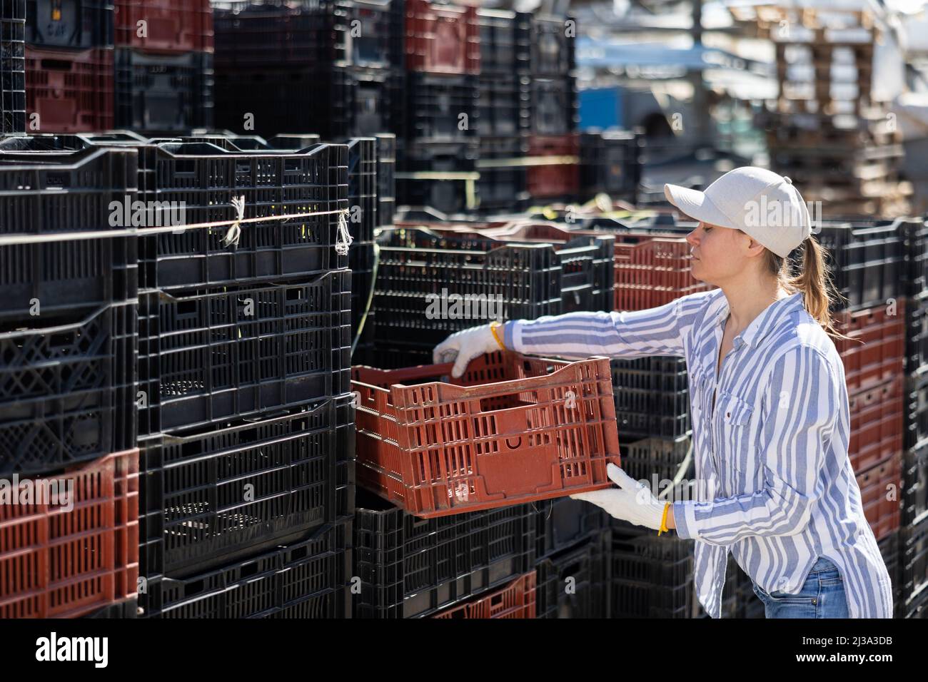 Female worker carrying crate in outdoors warehouse Stock Photo - Alamy