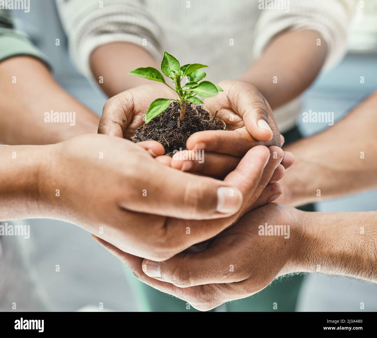 Help and well grow together. Cropped shot of a group of people holding ...