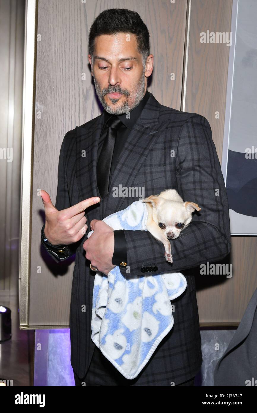 Joe Manganiello and his dog Bubbles attend AMC Networks' 2022 Upfront ...