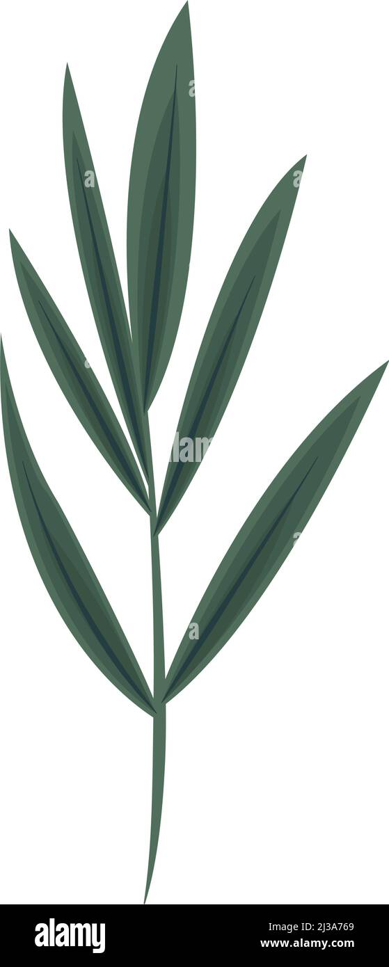 foliage nature icon Stock Vector Image & Art - Alamy