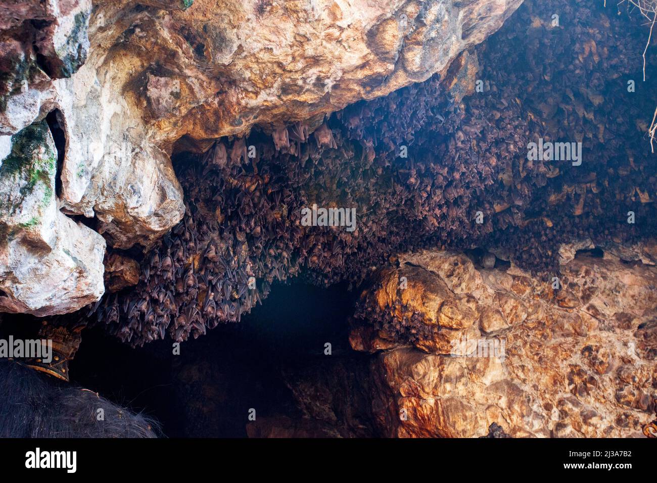 The bat cave at Goa Lawah (Bat Cave) temple in Goa Lawah, Klungkung ...
