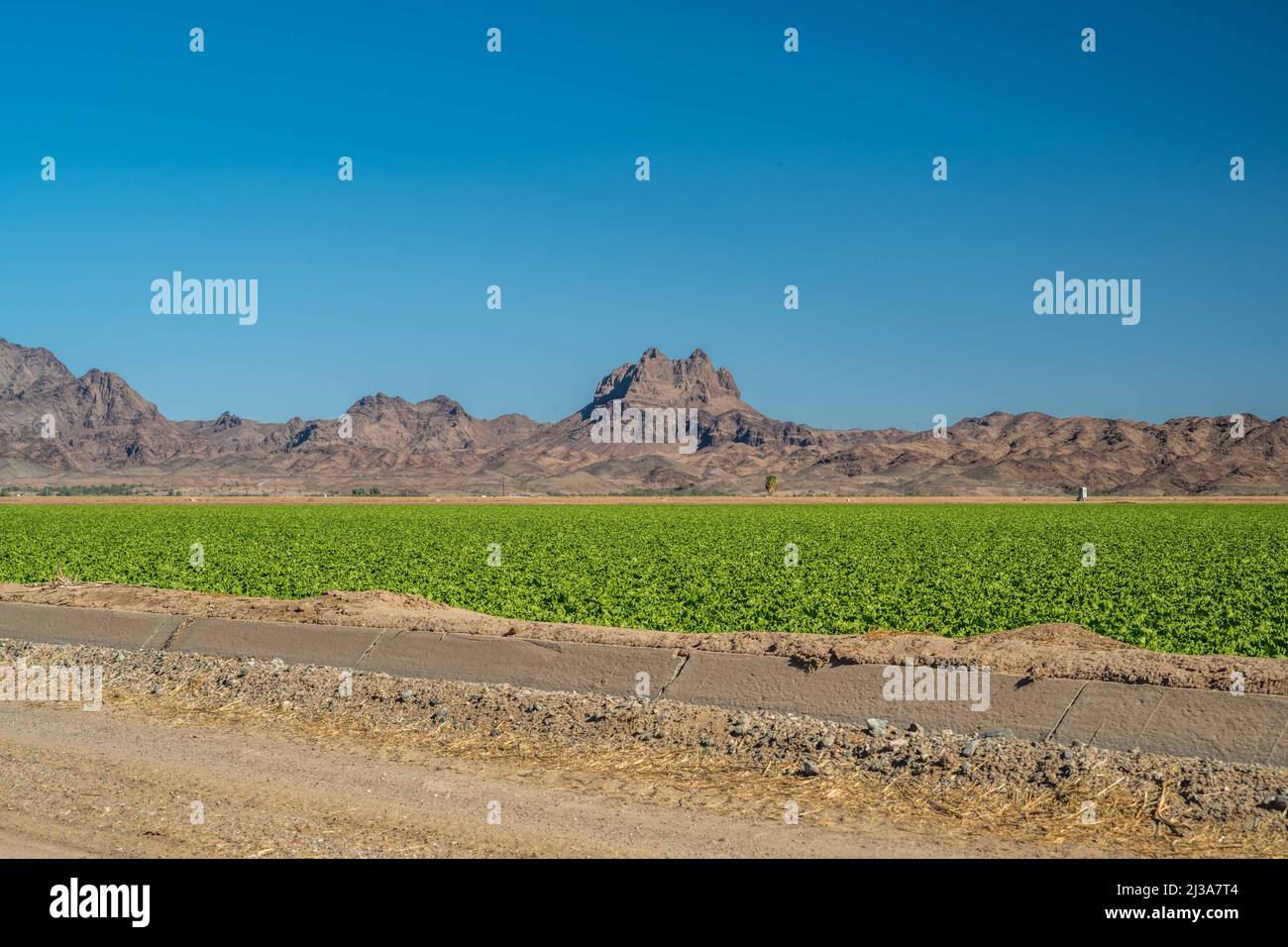 Yuma peaceful scenery hi-res stock photography and images - Alamy