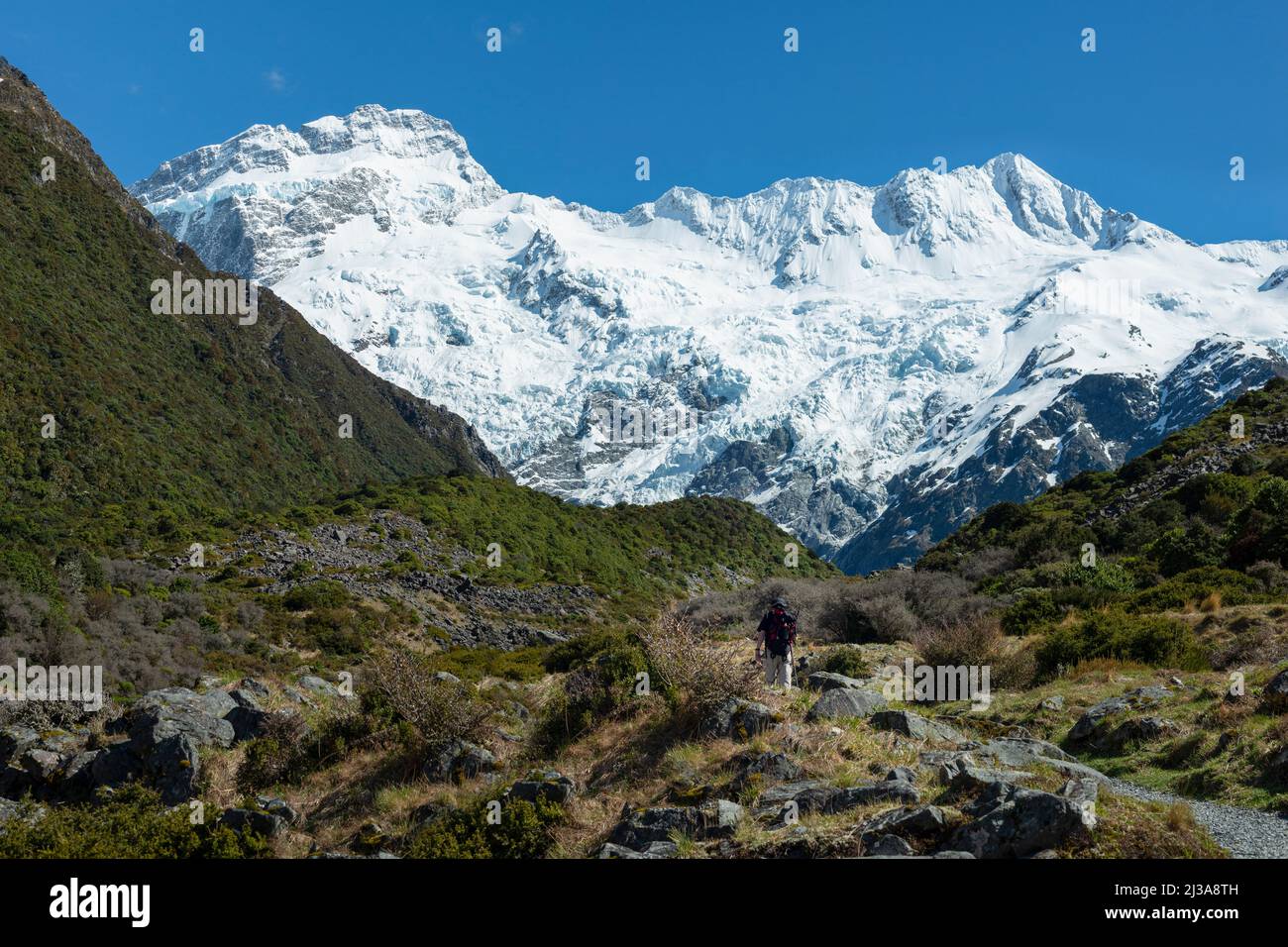 Hiking Kea Point track at Mt Cook National Park, Mt Sefton and the ...