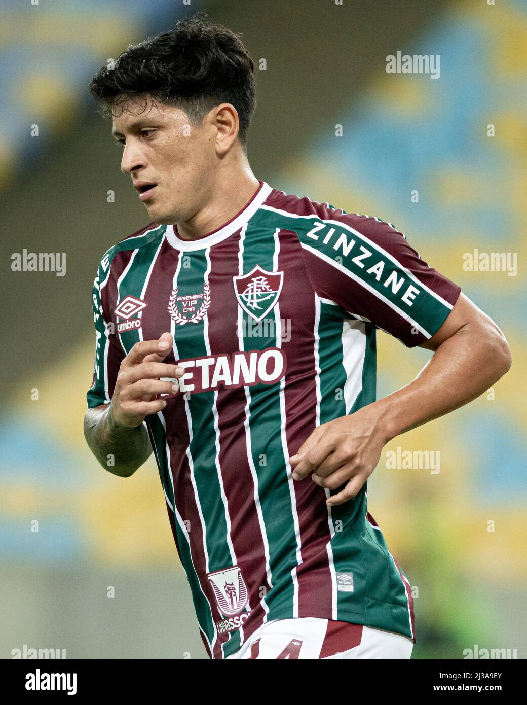 German cano fluminense hi-res stock photography and images - Alamy