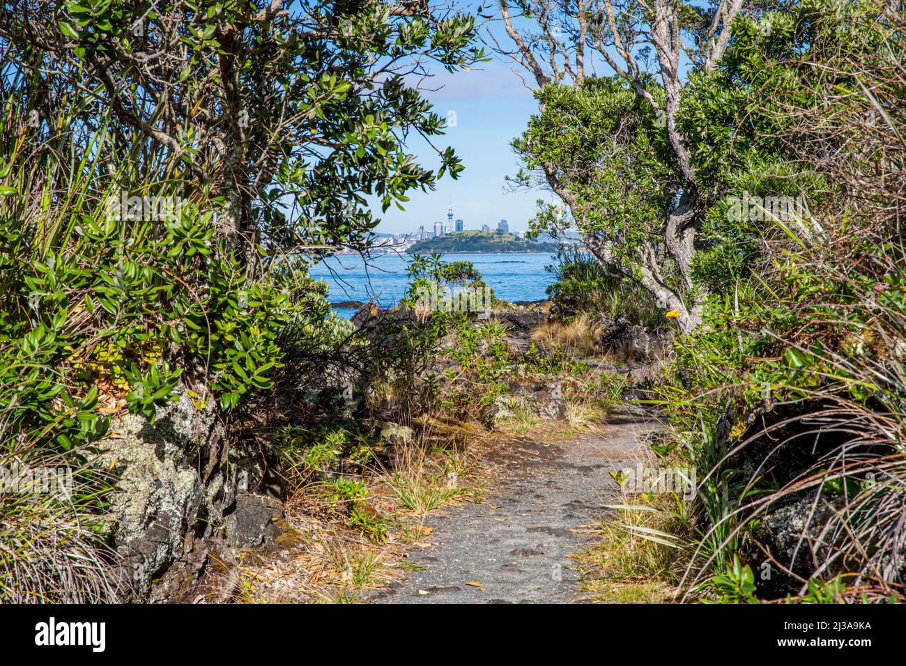 Rangitoto Island is a volcanic island in the Hauraki Gulf near Auckland ...