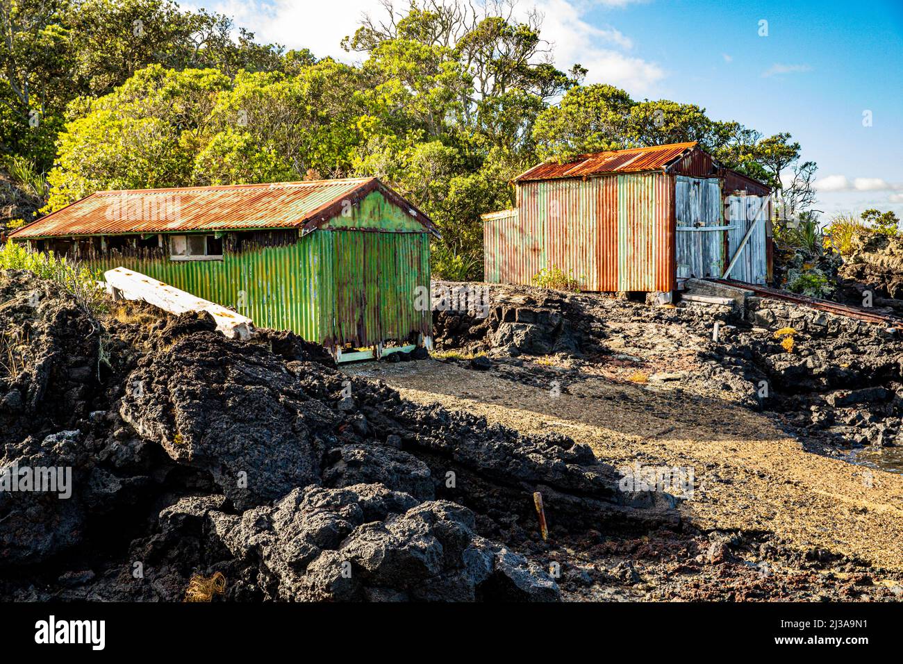 Rangitoto Island is a volcanic island in the Hauraki Gulf near Auckland ...