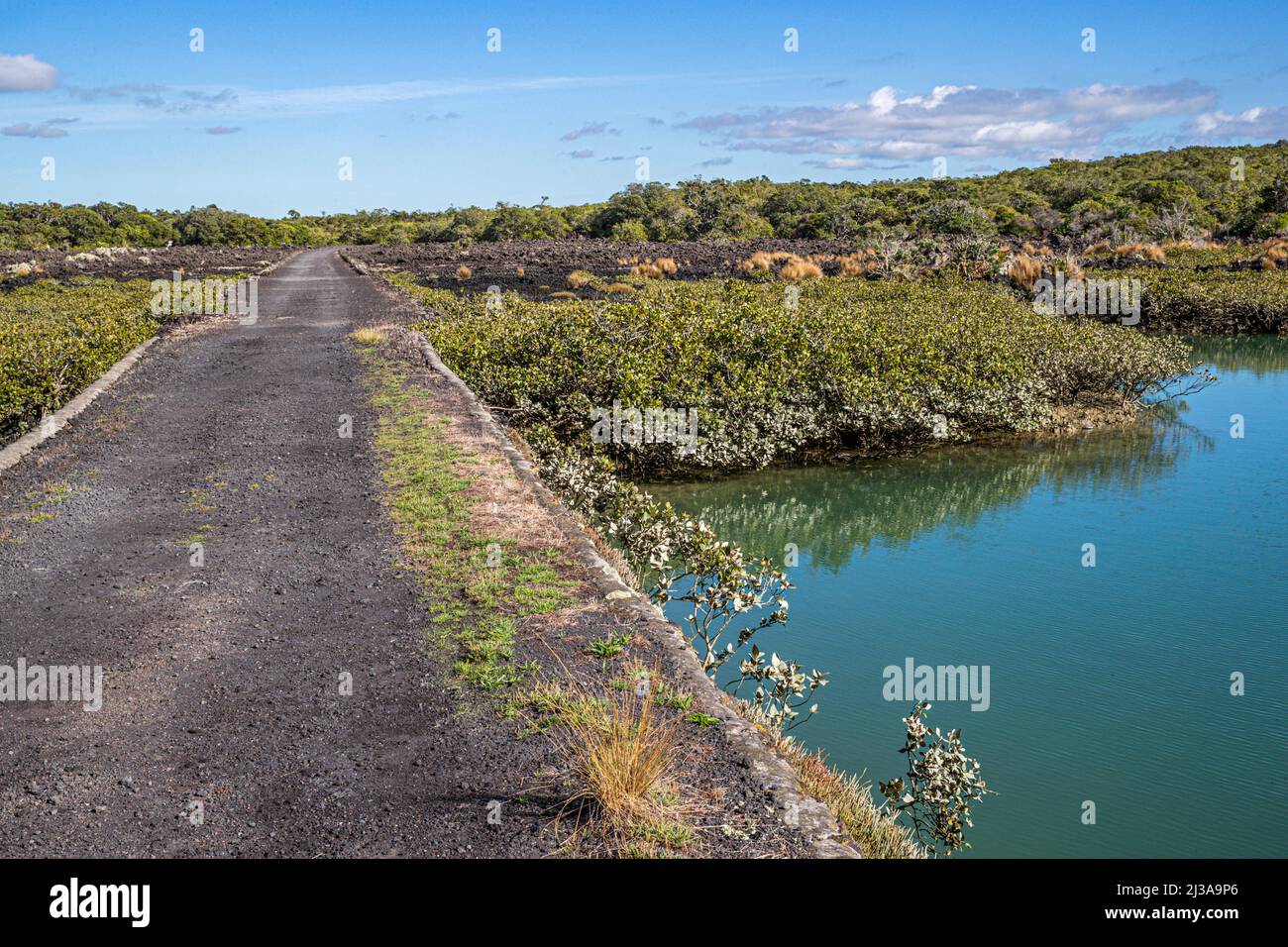 Rangitoto Island is a volcanic island in the Hauraki Gulf near Auckland ...