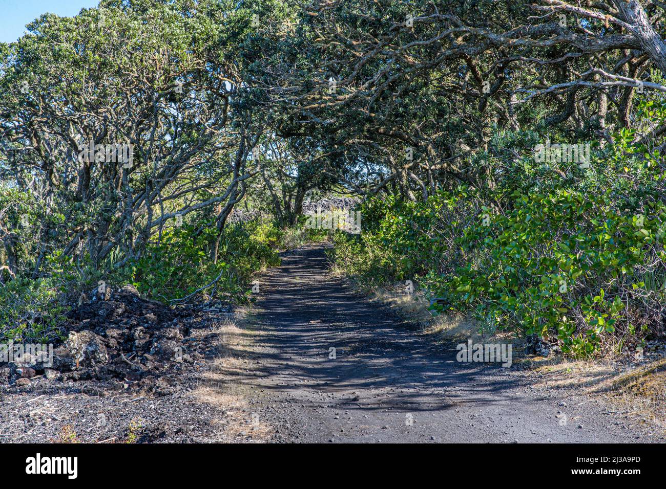 Rangitoto Island is a volcanic island in the Hauraki Gulf near Auckland ...