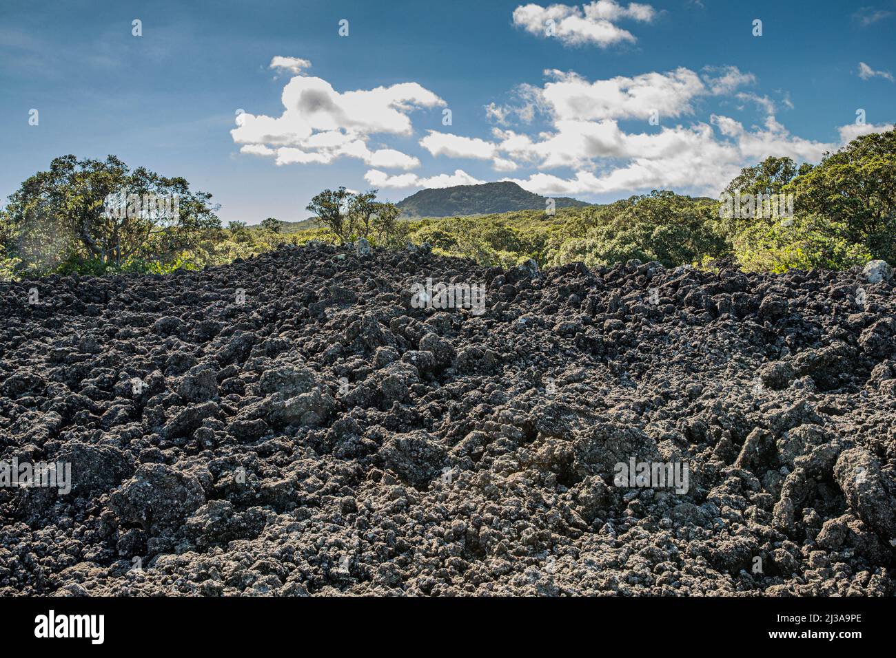 Rangitoto Island is a volcanic island in the Hauraki Gulf near Auckland ...