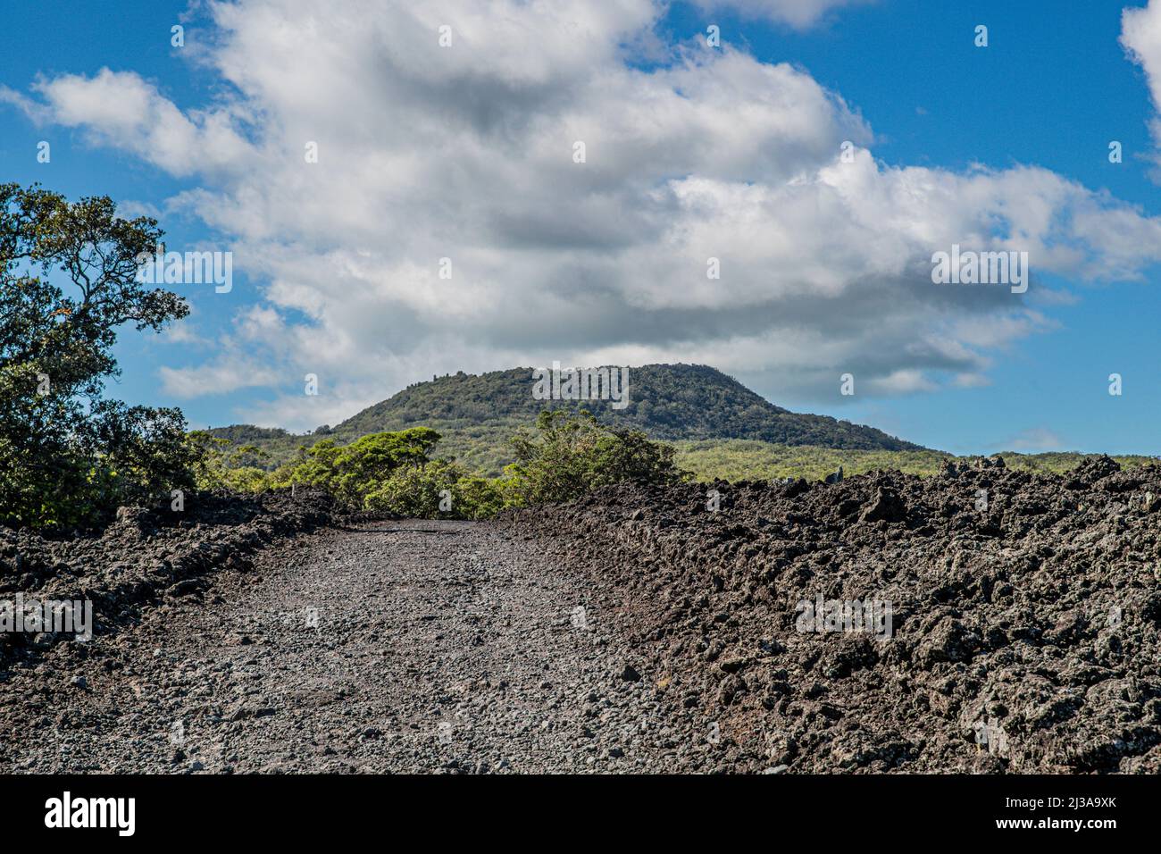 Rangitoto Island is a volcanic island in the Hauraki Gulf near Auckland ...