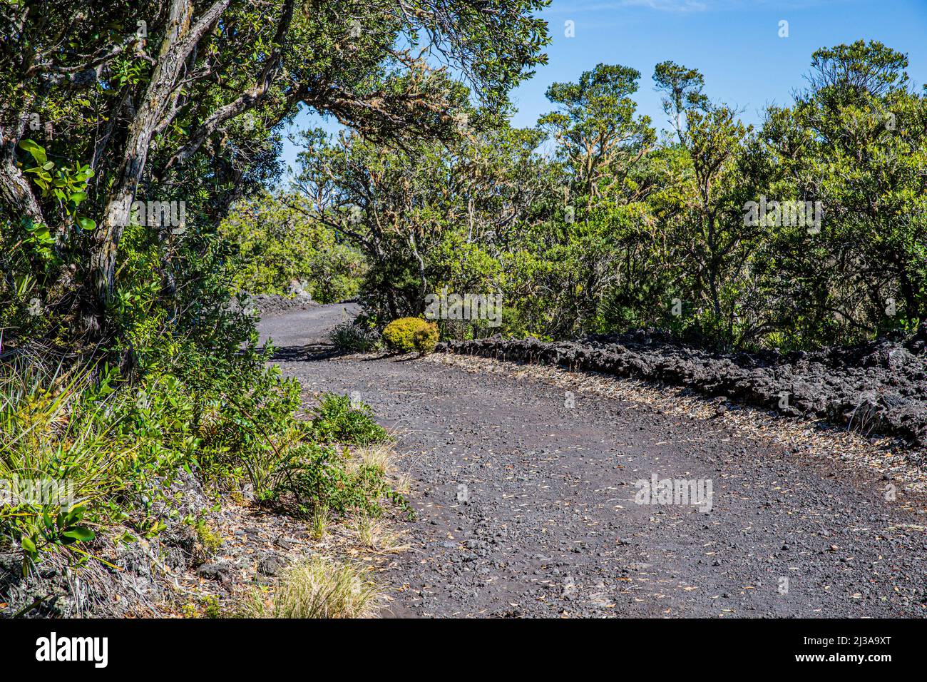 Rangitoto Island is a volcanic island in the Hauraki Gulf near Auckland ...