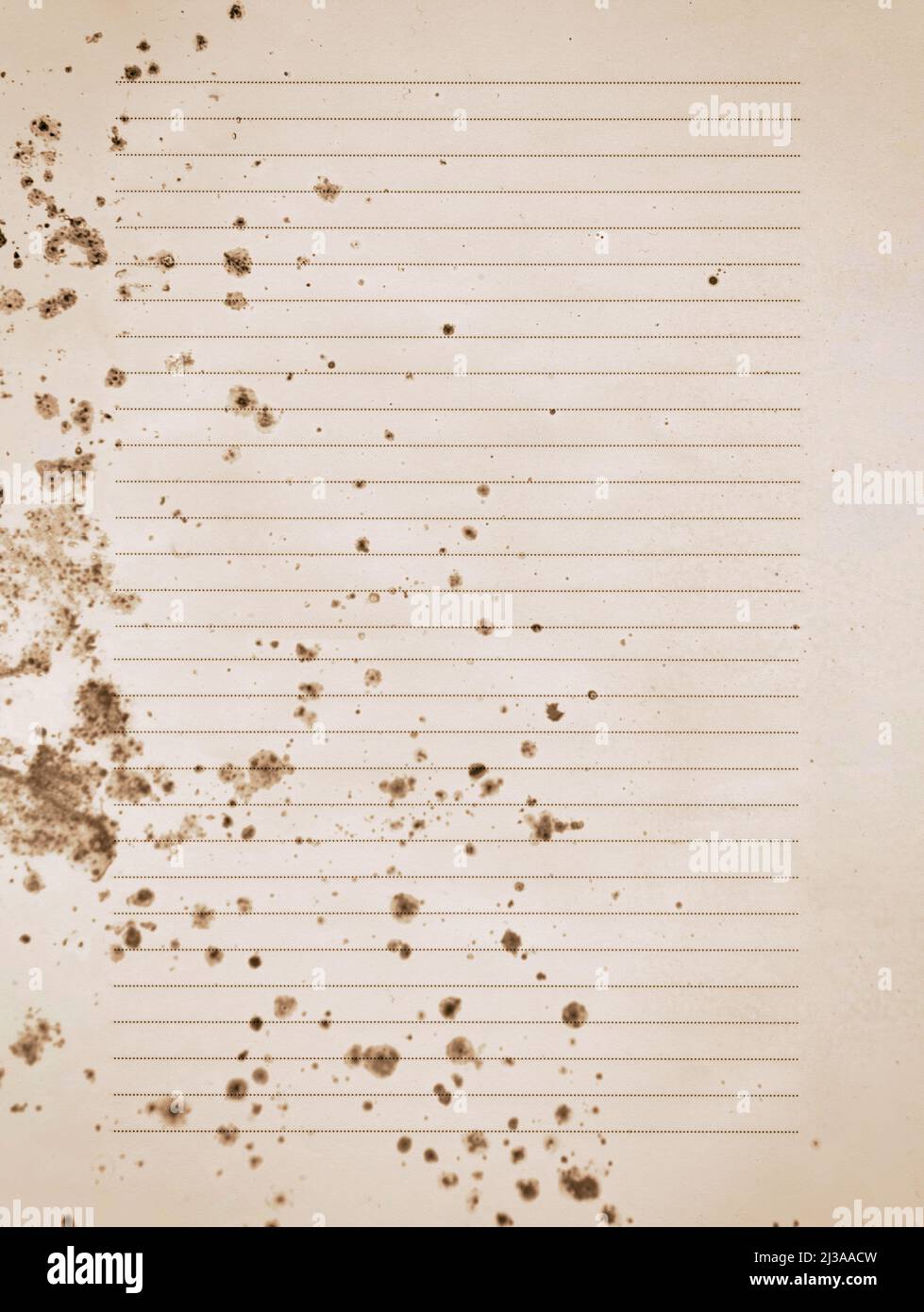 Old notebook paper that is empty and moldy for design in your work ...