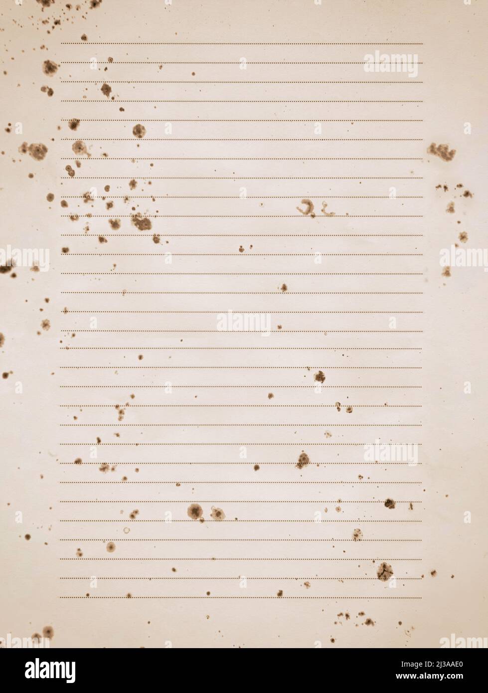 Old notebook paper that is empty and moldy for design in your work ...