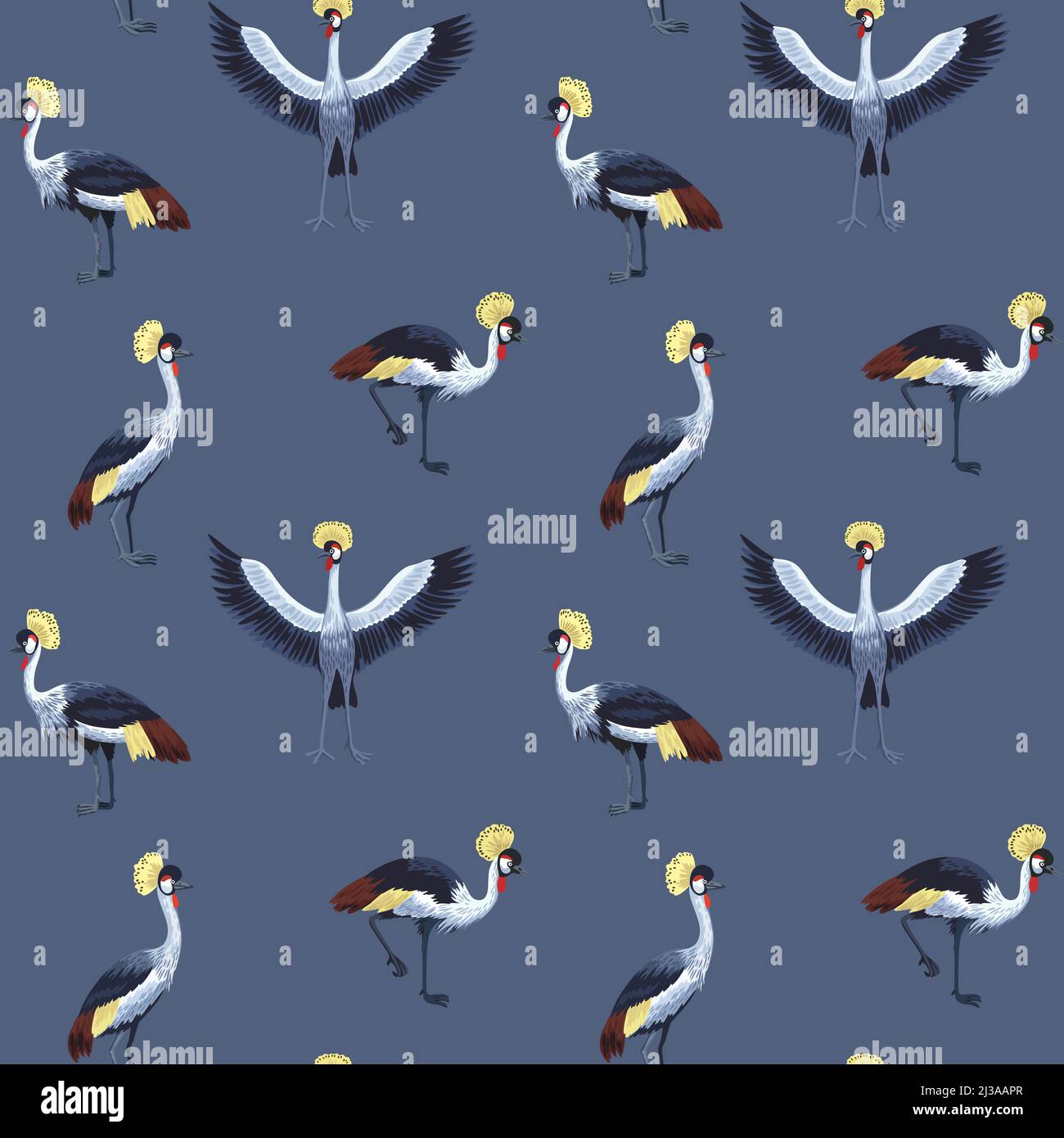 Vector seamless pattern with crowned crane birds Stock Vector Image ...