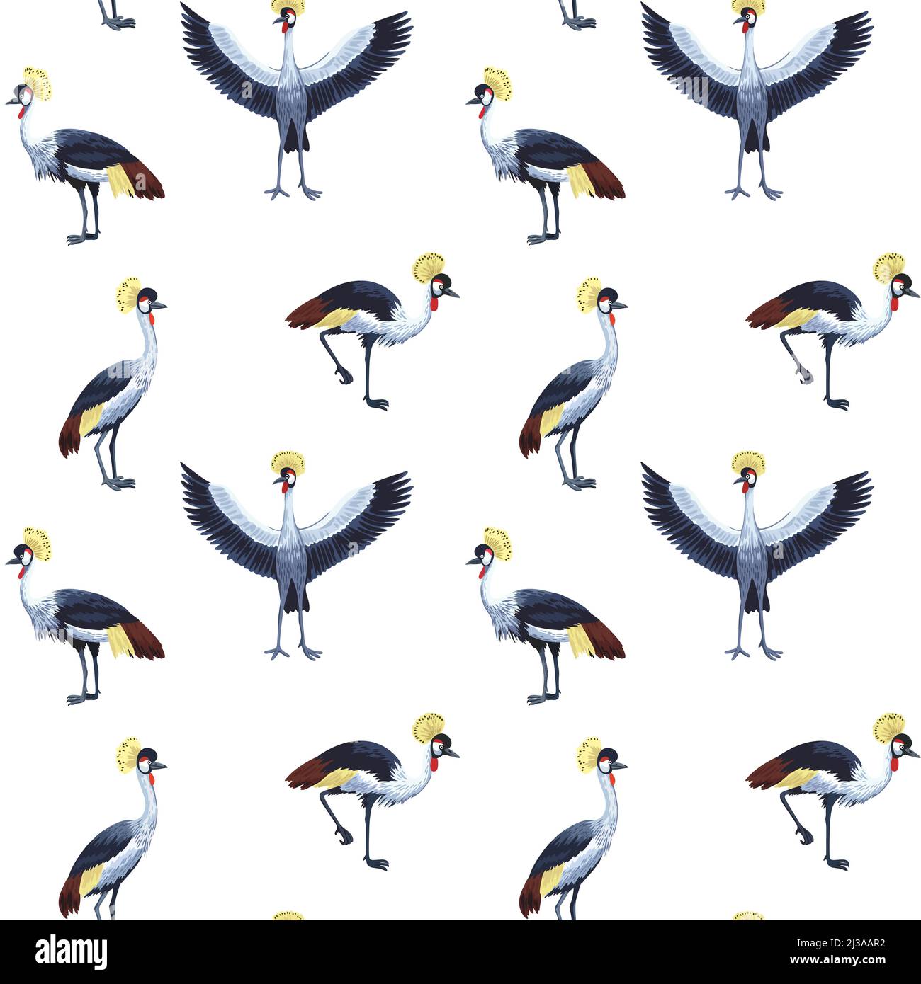 Vector seamless pattern with crowned crane birds Stock Vector Image ...