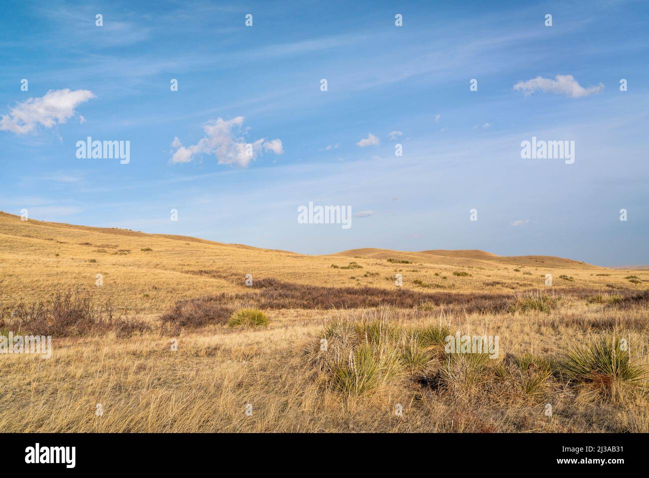 Cumulus clouds over prairie hi-res stock photography and images - Alamy