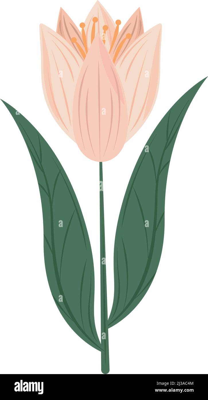 flower decoration icon Stock Vector Image & Art - Alamy