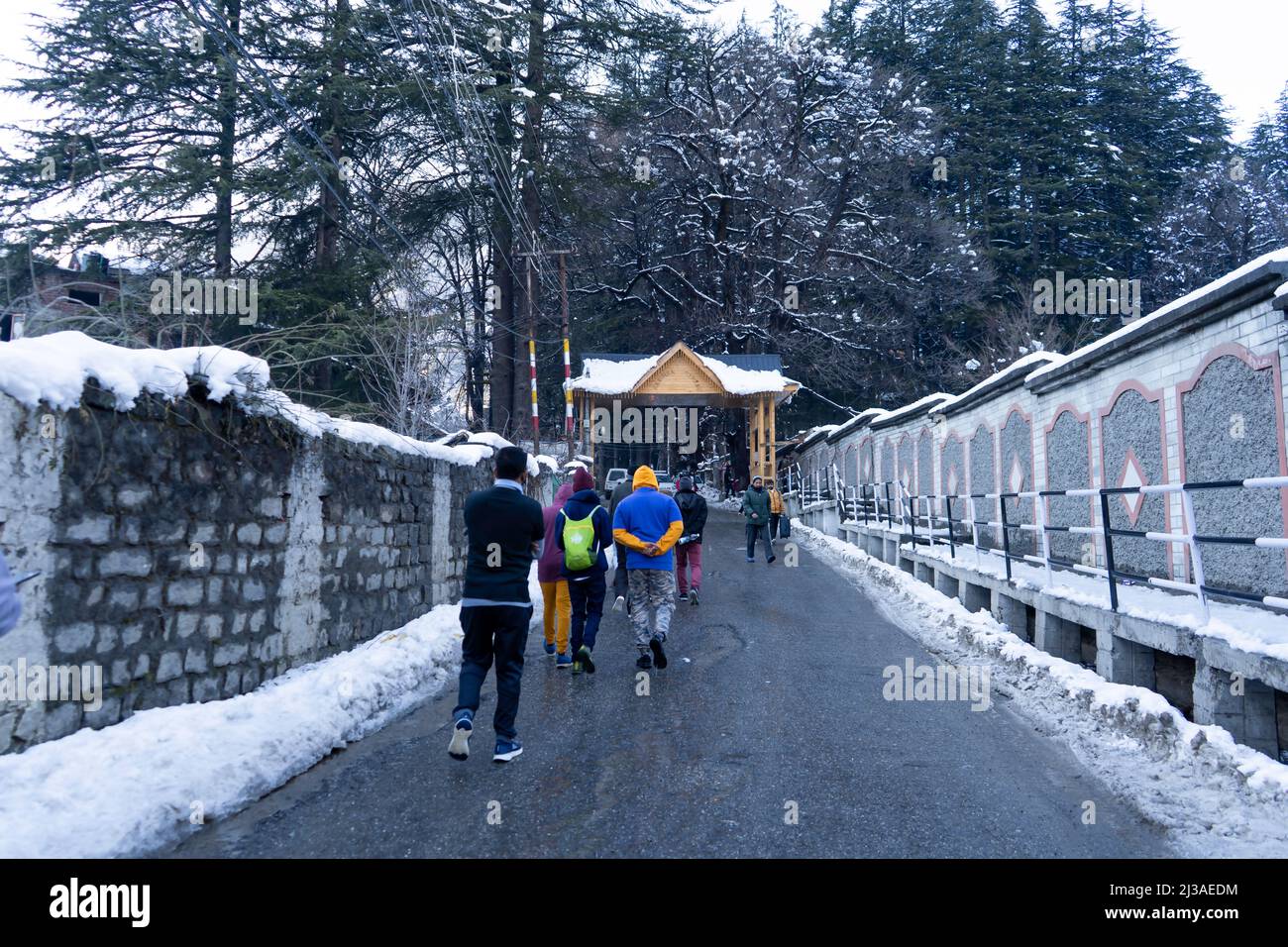 Hadimba Devi Temple is surrounded by thick deodar forests and was built ...