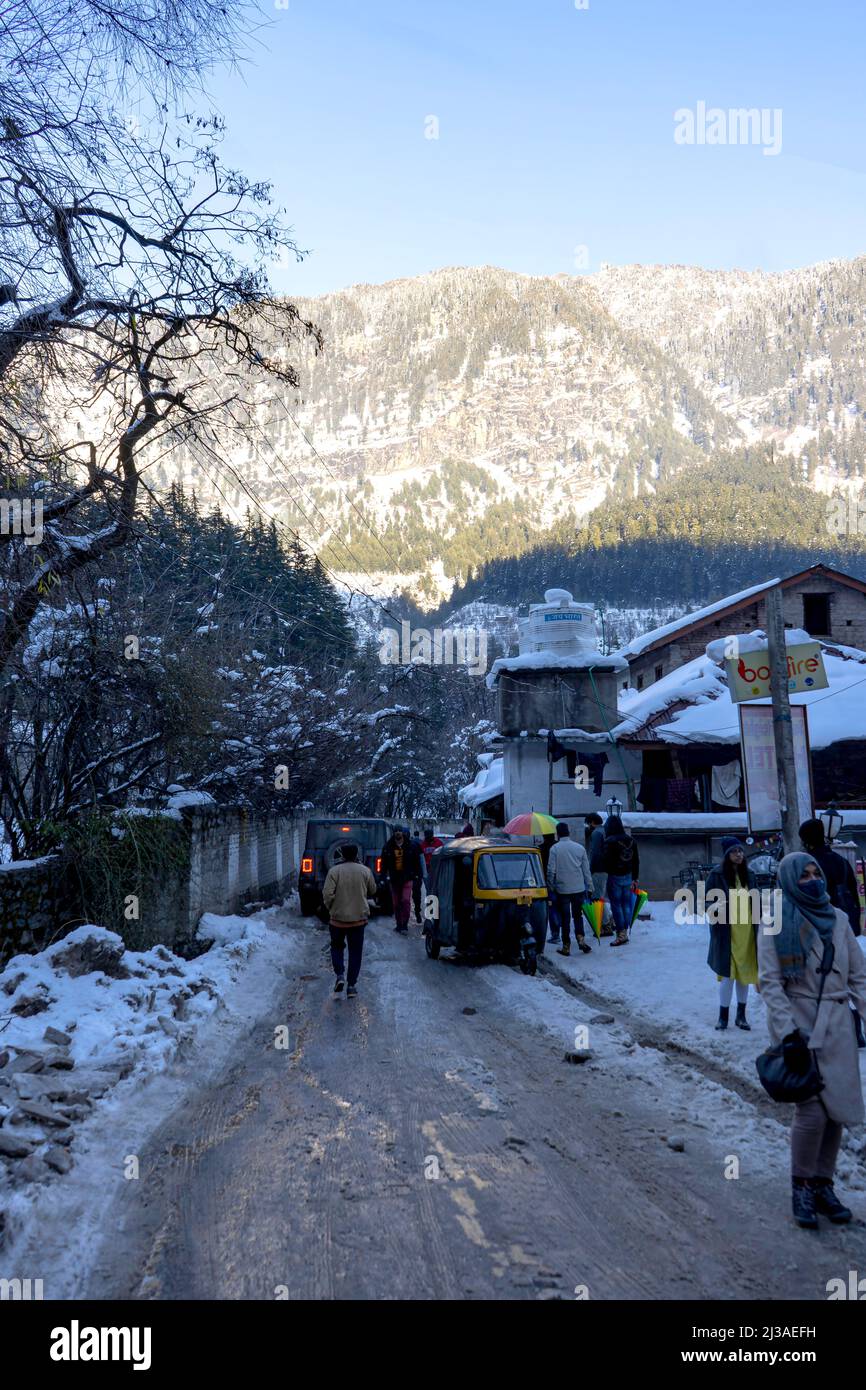 Hadimba Devi Temple is surrounded by thick deodar forests and was built ...